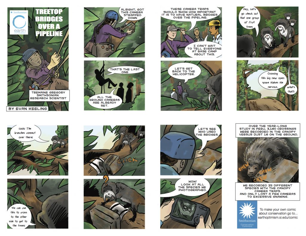 Smithsonian Earth Optimism Summit Comics - Smithsonian Exhibits